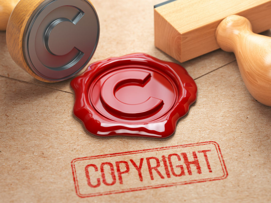 Fundamental Copyright Principles Underscored in AI Context: Voice ...